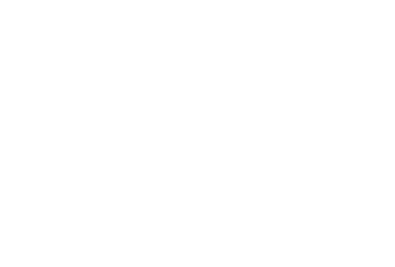 Morningside Crossing - First Capital