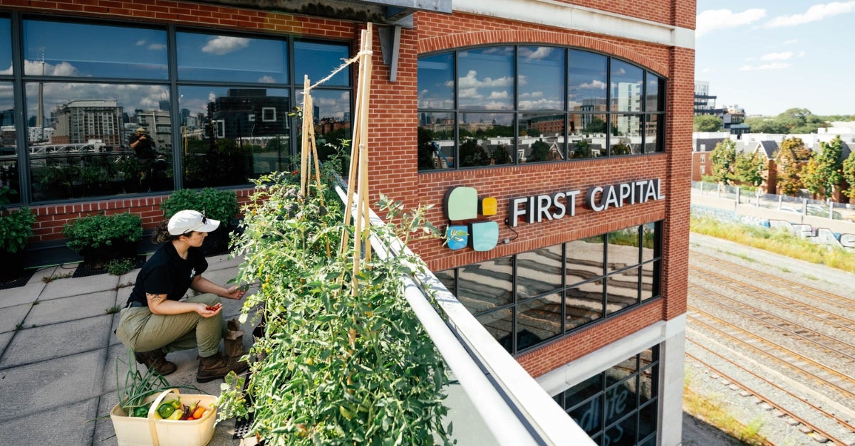 Making Sustainable Strides: FCR’s MicroHabitat Pilot Project - First ...