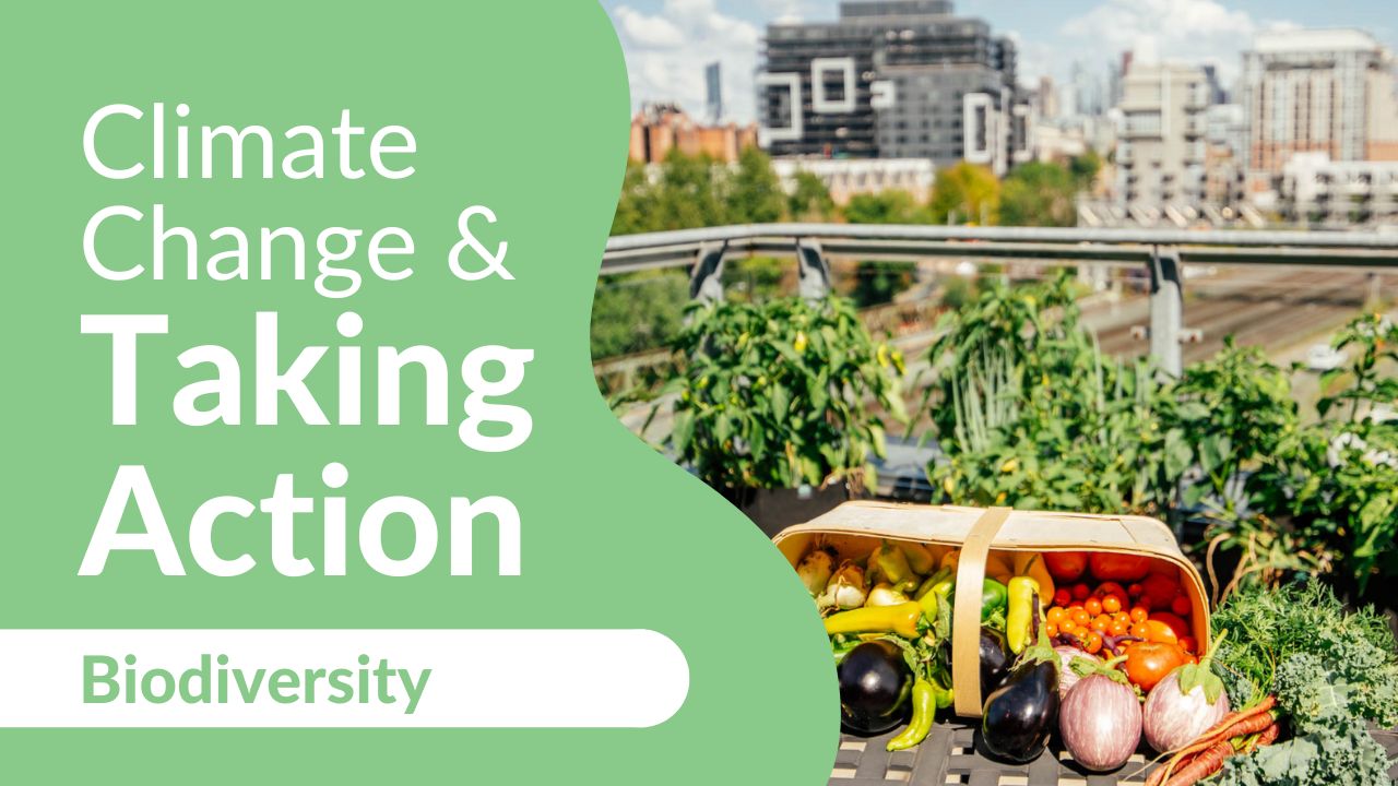 FCR’s ESG Earth Month Series: Biodiversity - First Capital